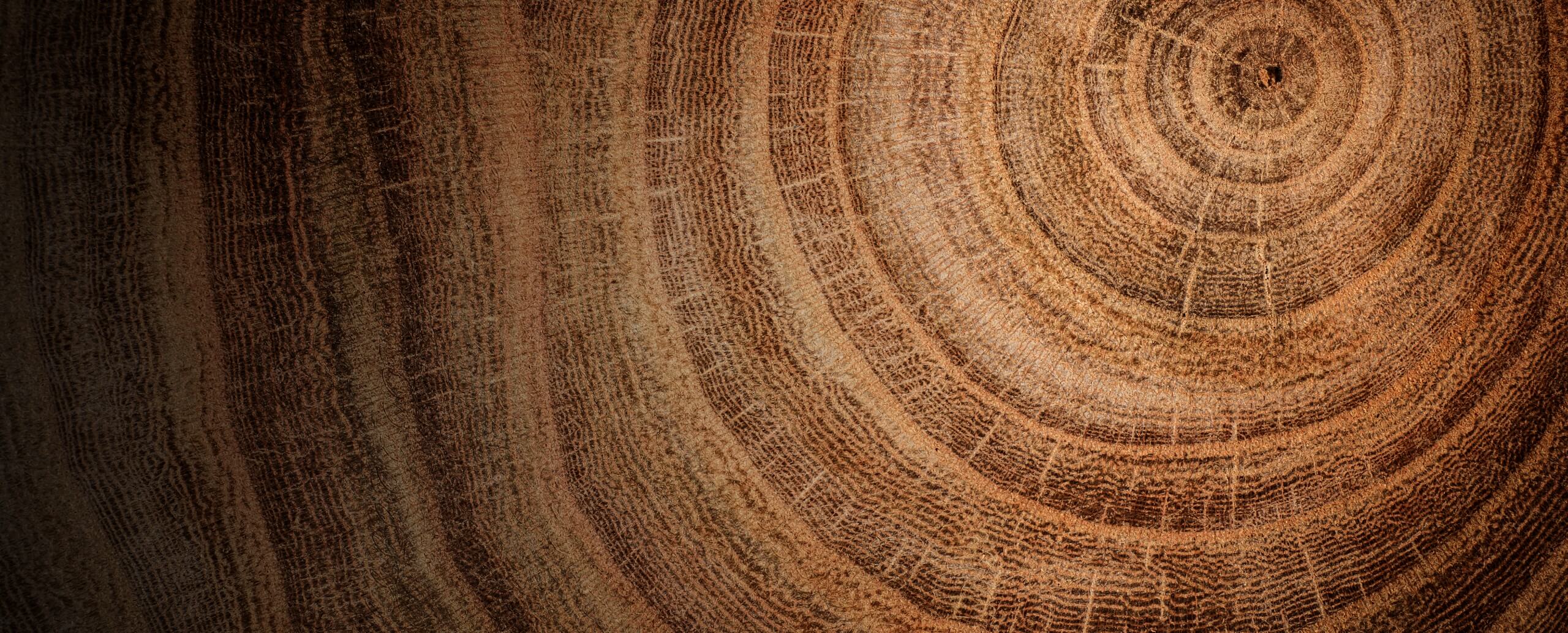 Choosing the right wood for your sauna - Saunacore